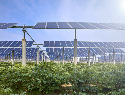 Elgin invests in 190MW Italian agri-solar duo with €150m CapEx | inspiratia